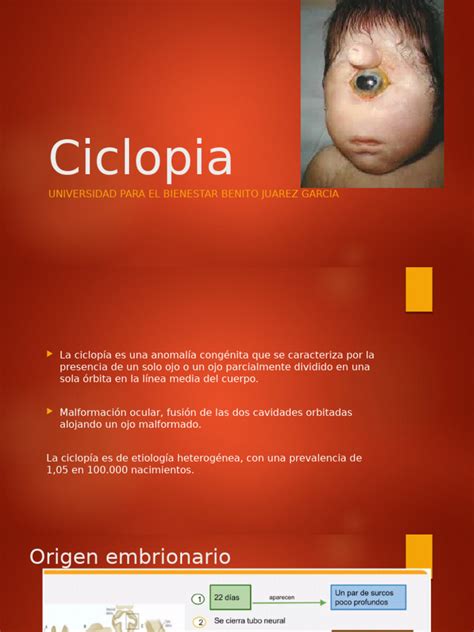 Ciclopia Pdf