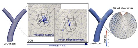 Mesh Convolutional Neural Networks For Wall Shear Stress Estimation In