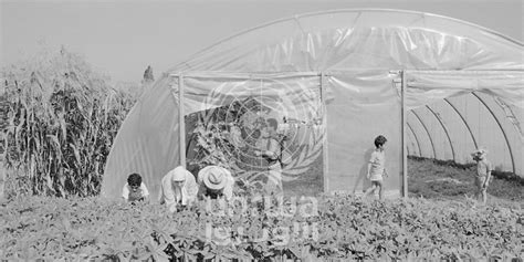 Displaced Workers The Question Of Labour And The Making Of A Global