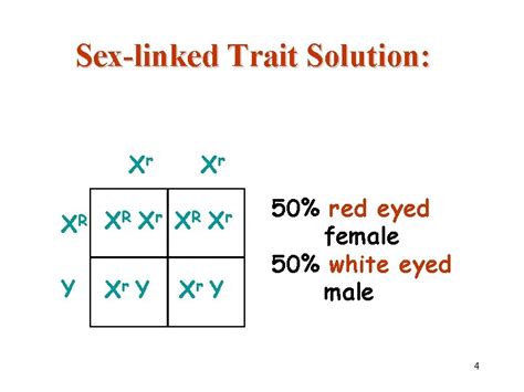Sexlinked Traits Traits Genes Located On The Sex