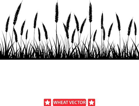 Pacote De Silhueta Vetorial De Caules De Trigo Elegantes Vetor Premium