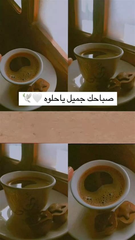 Drnour Taha El Gohary ‎اوعي حاجه تزعلك صباحك جميل زيك ياحلوه 🤍🕊️