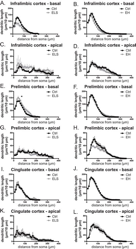 Dendritic Morphology Of Mpfc Subregions Is Differentially Affected By
