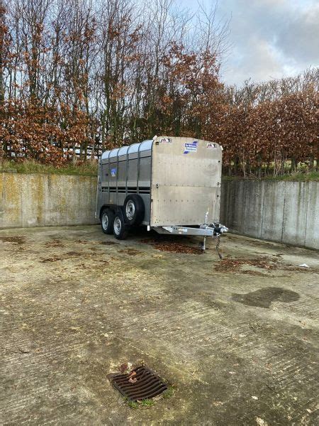 Cattle Sales 463 Farming Ads For Sale In Ireland Donedeal