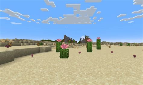 Minecraft Cactus Flower How To Get Uses And More Beebom