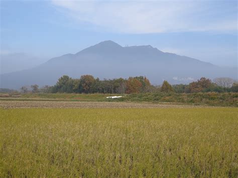 わたしのBlog 家族と山の日々 神秘的だった霧の筑波山