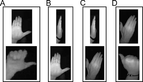 Hand Poses