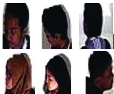 Heads Segment Sample Download Scientific Diagram