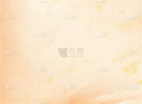 一张老照片的背面