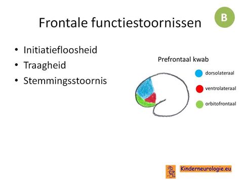 Myotone Dystrofie Kinderneurologie