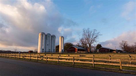A Locals Guide To Living In Severna Park Maryland Real Broker Llc