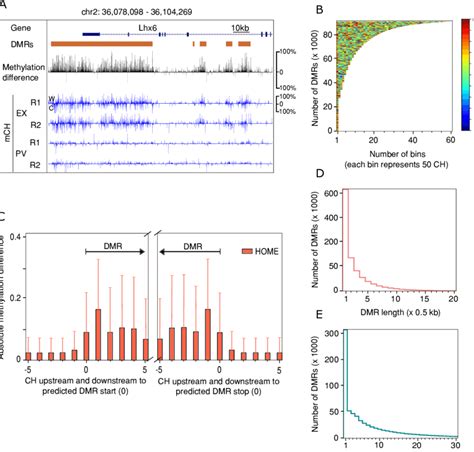 Quality Assessment Of Ch Dmrs Predicted In Mammalian Wgbs Data A Download High