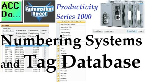 Productivity 1000 Series Plc Numbering Systems And Tag Database