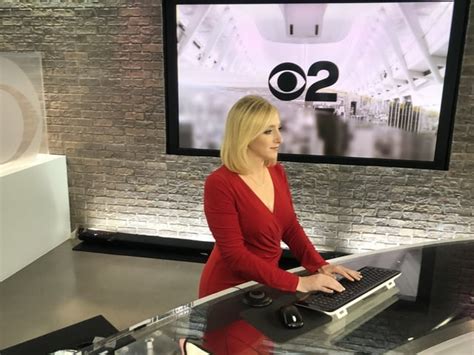 Lisa Rozner Wcbs Nyc R Hot Reporters