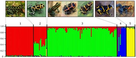 Different Colors Represent Inferred Multilocus Genotypes See Text Download Scientific