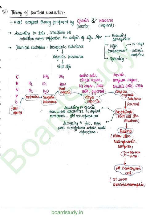 Neet Biology Evolution Notes Pdf Handwritten Notes