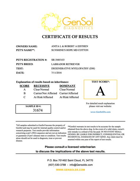 Aspen Degenerative Myelopathy Certification Sunfire Labradors
