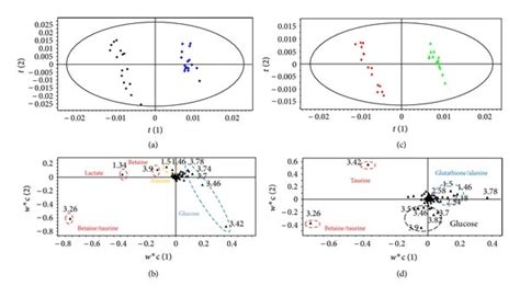 Pls Da A Score Plot And B Loading Plot Based On The ¹h Nmr Spectra