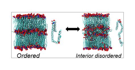 Structure And Permeability Of Ceramide Bilayers And Multilayers The