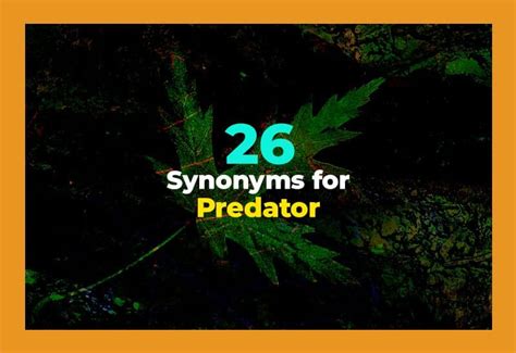 Predator Synonyms 26 Similar Words With Examples