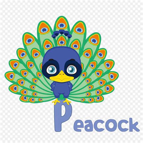 矢量公孔雀png图片素材下载图片编号7881262 Png素材网
