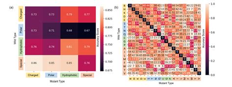 Unveiling Protein Solubility Patterns Insights From Toplapgbt S