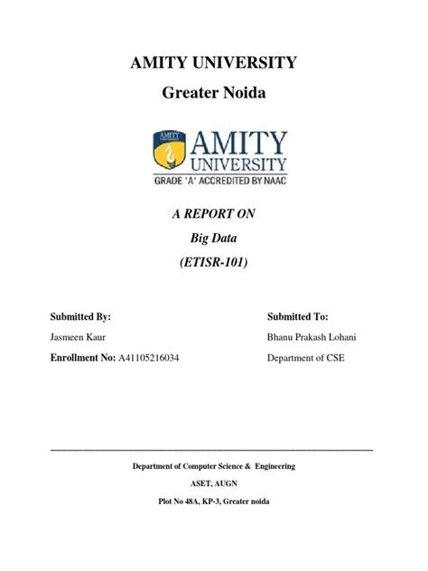 report on big data pdf big data apache hadoop