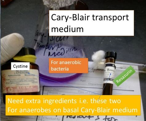 Cary Blair Transport Container Qejx