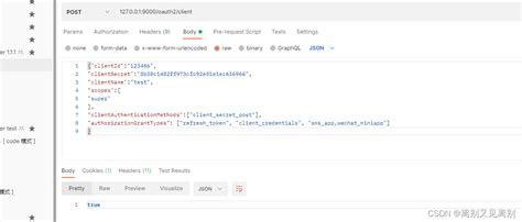 Spring Authorization Server （111）自定义认证spring Authorization Server11