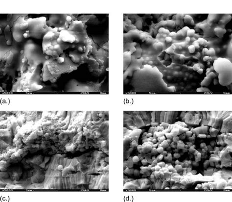 Sem Micrographs Of Conventional And Nanostructured Ysz A Surface Of