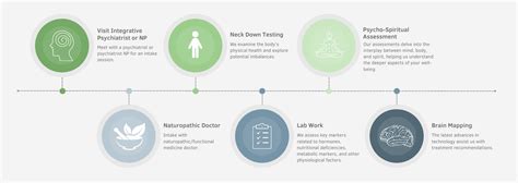 Comprehensive Assessment Program Integrated Mental Health