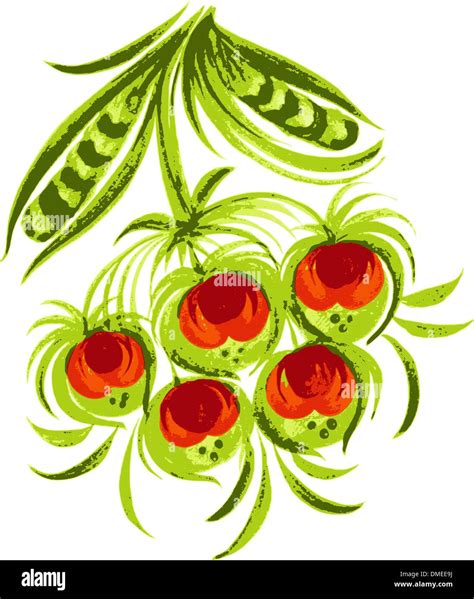 Tree Berries Stock Vector Images Alamy