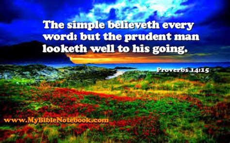 Proverbs 1415 Daily Bible Verse Study My Bible Notebook