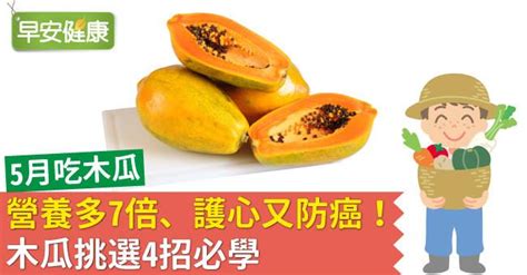 5月吃木瓜營養多7倍護心又防癌木瓜挑選4招必學