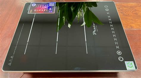 Bếp Từ đơn Model Pt 1126 S