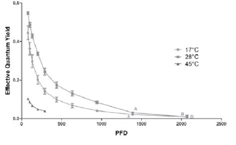 effective quantum yield pfd photon flux density µmol photons m 2 s