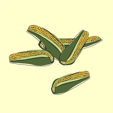 Corns Premium Vector