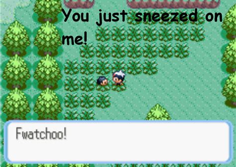 Pokemon Ruby Meme No2 By Ilovemycat456 On Deviantart