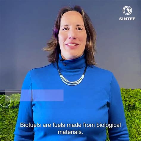 Judit Sandquist On Linkedin What Are Biofuels