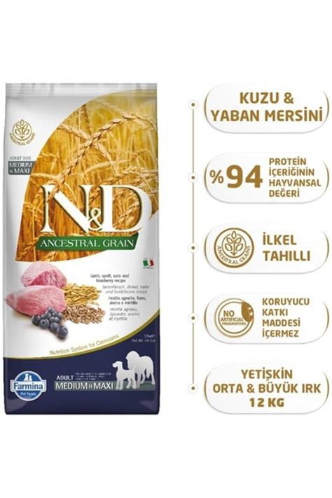 N D Kuzu Etli ve Yaban Mersinli Orta ve Büyük Irk Ata Tahıllı Yetişkin Köpek Maması kg Pet