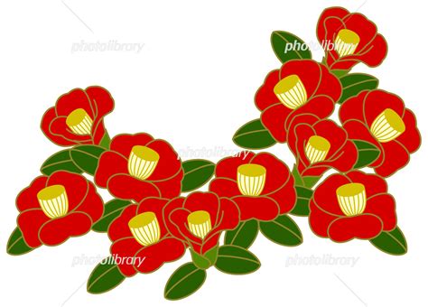 椿の花のイラスト イラスト素材 6497243 フォトライブラリー Photolibrary