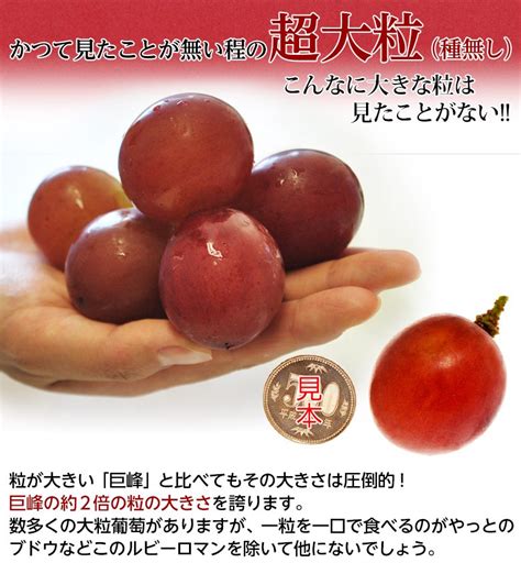 世界最貴葡萄「一串31萬」還不容易買到 專家花14年才開發出「完美味道」 Foody 吃貨
