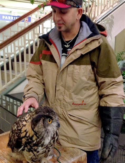 Owl Attacks Hawk At Vermont Ll Bean Store Display