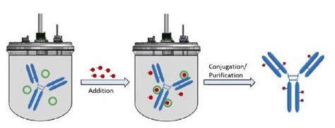 “魔法子弹”技术流 如何助力adc药物偶联工艺优化 知乎