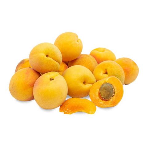 עצי פרי נשירים משתלת פרי מרקט Pm