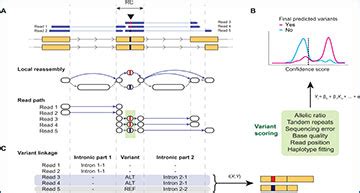 The GATK Best Practices For Variant Calling On RNAseq RNA Seq Blog