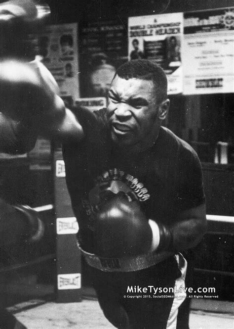 Mike Tyson iPhone Wallpapers Top Những Hình Ảnh Đẹp