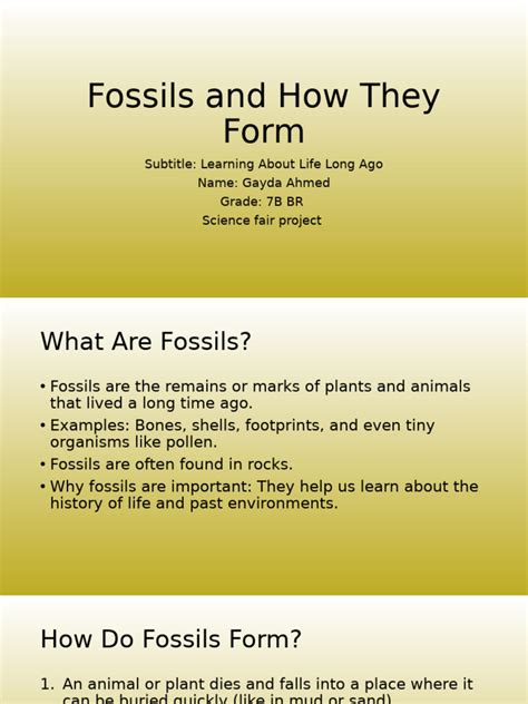 Fossils And How They Form Science Fair Pdf