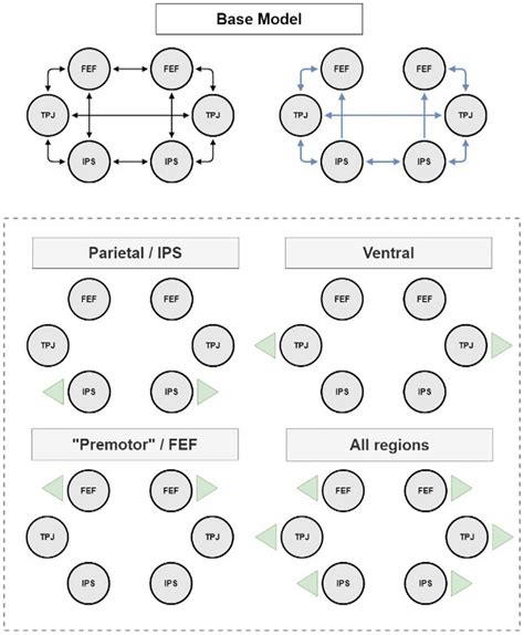 Top Row Basic Structure Of The Dcm And Bdcm Models Regions Were Fully