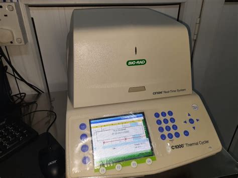 Fungal Dna Detection Archives Medical Notes